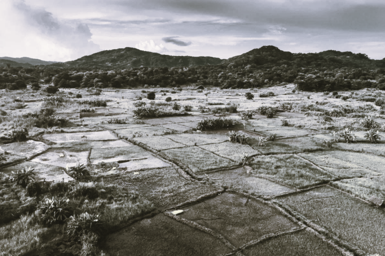 Portfolio – Three Hills